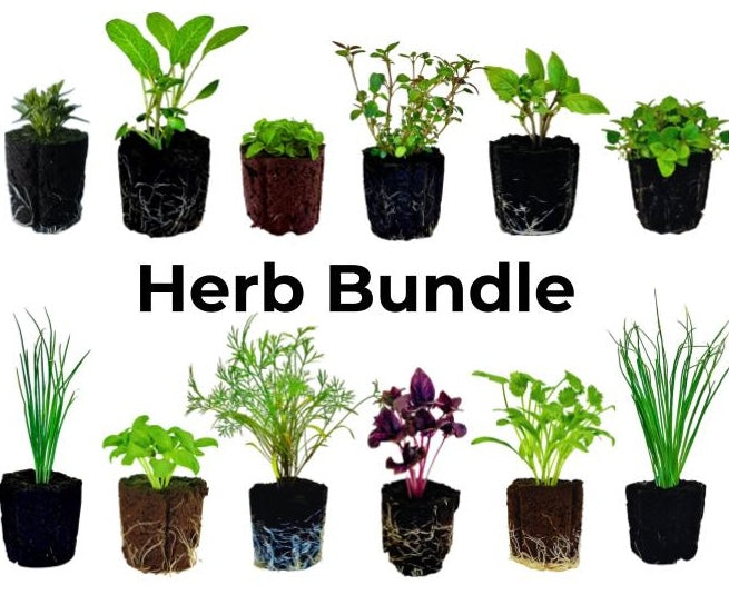 Herb Bundle – WeGotThis.org